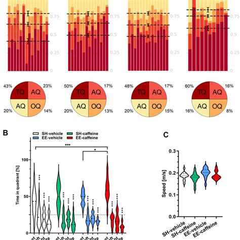 improved spatial reference memory performance in wt mice upon ee