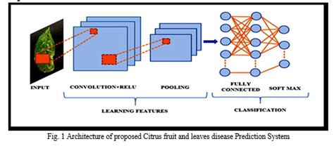 Automatic Detection Of Citrus Fruit And Leaves Diseases Using Deep Neural Network