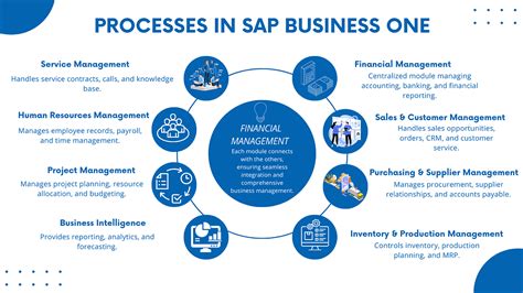 Processes In Sap Business One Name Of The Basic Processes In Sap By