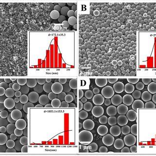 SEM Images Of A CSs B CSs C CSs And D CSs Inside Is The Download Scientific Diagram