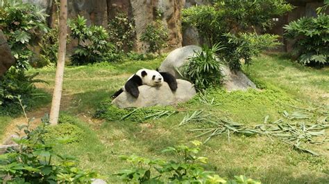 Lazy Loading React Components Without Sacrificing Type Safety