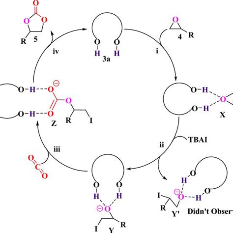 Screening Of The Hbd Catalysts For The Synthesis Of Cyclic Carbonate Download Scientific Diagram