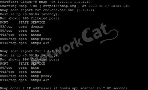 Nmap Network Mapper Nedir Nasıl Çalışır Networkcatnet Öğrenmek