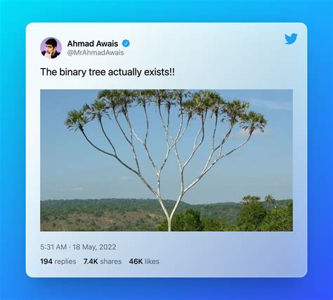 The Binary Tree Actually Exists R Programminghumor