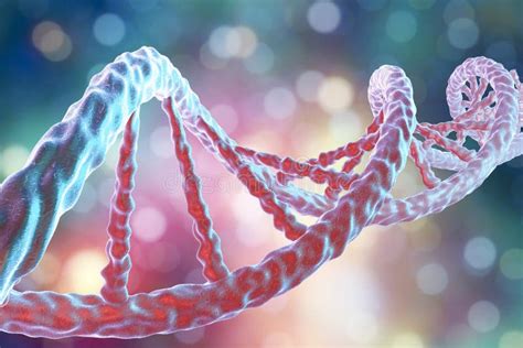Double Helix Of DNA Stock Illustration Illustration Of Molecule