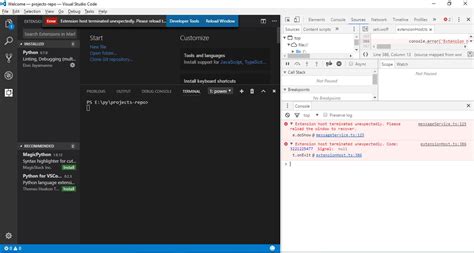 Extension Host Terminated Unexpectedly Please Reload The Window To