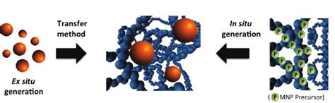 schematic comparison of ex situ and in situ nanoparticle generation download scientific diagram
