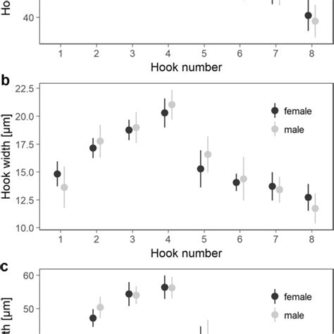 Left Cystacanth Of Polymorphus Type 1 Male With An Everted Proboscis
