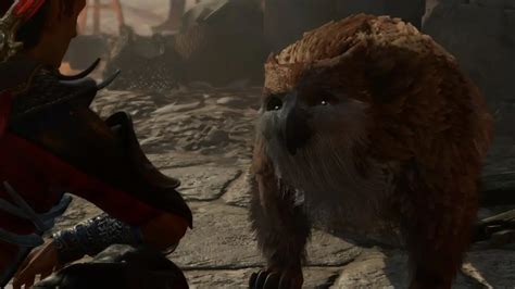 Baldurs Gate 3 How To Get The Owlbear Cub In Bg3 Gamepur