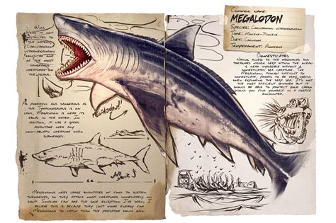 Megalodon Official Ark Survival Evolved Wiki