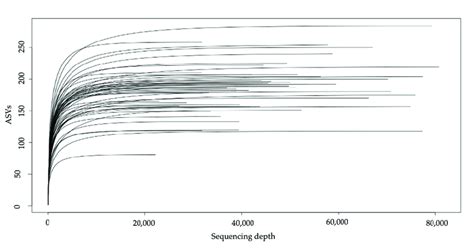 amplicon sequence variants asvs rarefaction curves per sample reads