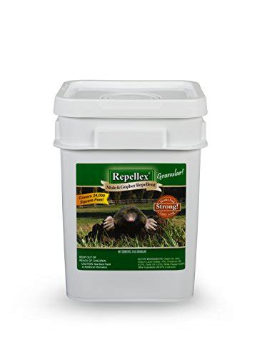 5 Best Gopher Repellents In 2025 [detailed Reviews]