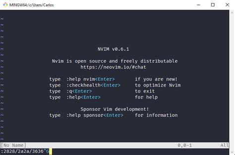 Neovim Starts With Some Command Typed On Already Gitbash · Issue
