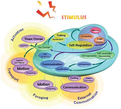 Artificial Intelligent System Diagram Artificial Intelligenc