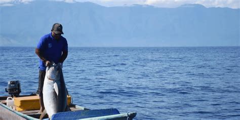 Indonesia Upholds Its Tuna Industrys Sustainable Future