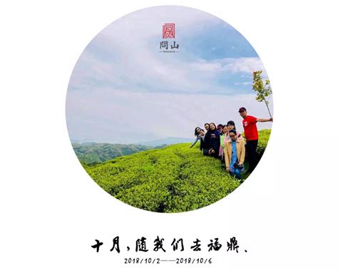【福鼎·知名茶企and白露茶】让你深入了解福鼎白茶品牌发展密码企业