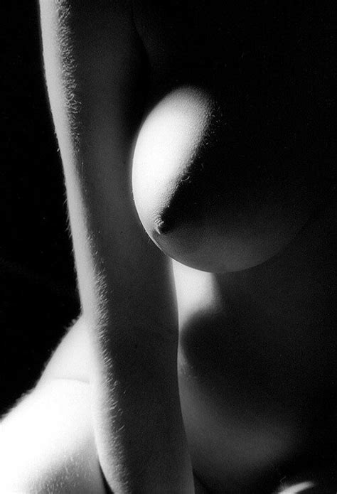 Redmagnolia Great Tits Pin 39961599