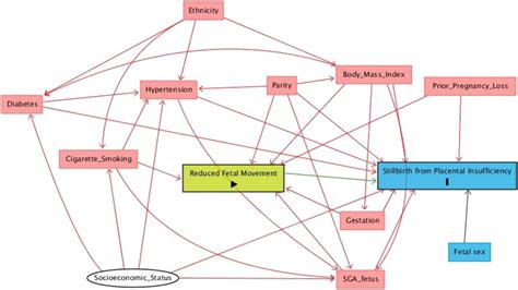 Directed Acyclic Graph Showing Relationship Of Potential Interactions Download Scientific