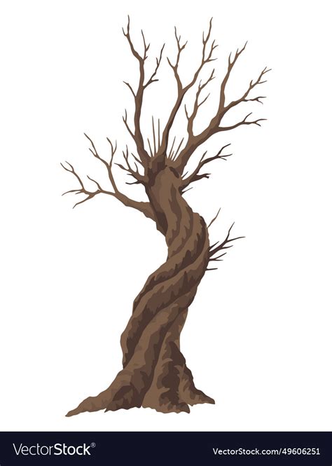 Old Dead Tree Rough Spooky Bark Dry Naked Branch Vector Image