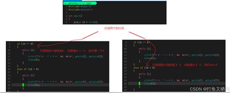 linux进程概念——父子进程层面的pid，fork的原理与理解 linux pid csdn博客