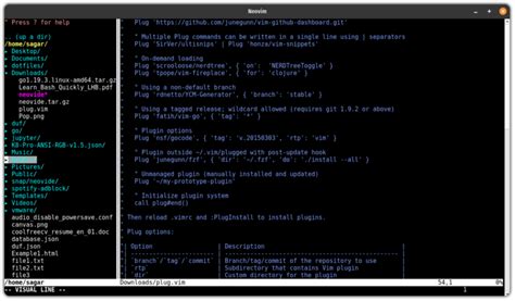 Neovim Gui Editors You Could Try If You Are Not A Total Terminal Junkie