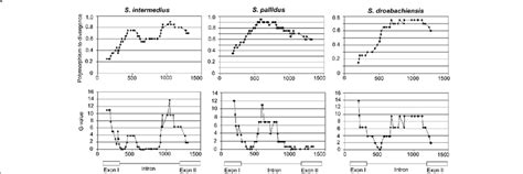 sliding window plots of polymorphism to divergence ratio and the