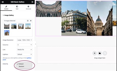 Basic Gallery Widget Elementor