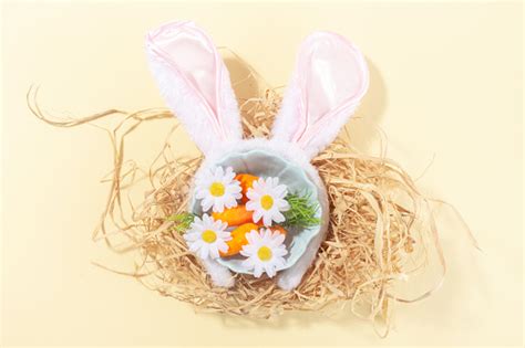 밝은 노란색 배경에 꽃 파란색 그릇과 데이지와 당근이 있는 봄 둥지 개념 배너 0명에 대한 스톡 사진 및 기타 이미지 0명 가을 개념 Istock