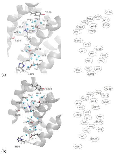 Processes Special Issue Molecular Dynamics Modeling And Simulation