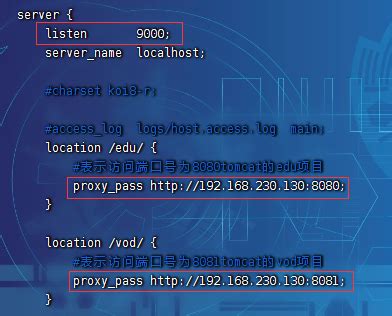 Nginx 配置实例 反向代理案例二 nginx 监听 CSDN博客