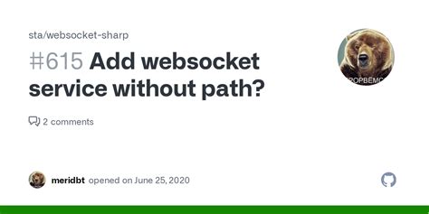 Add Websocket Service Without Path · Issue 615 · Sta Websocket Sharp