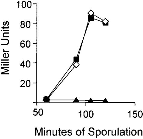 AA P Is Not An Inhibitor Of F Shown Are F Activities Of Wild Type Download Scientific Diagram
