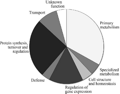 Functional Categorization Of Expressed Sequence Tags Ests From Catha Download Scientific