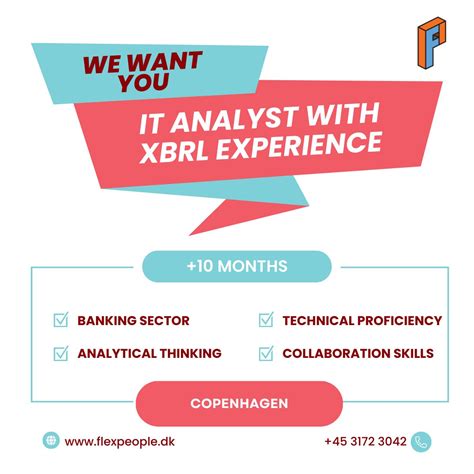 Flexpeople On Linkedin Itanalyst Xbrl Dataanalysis Techsolutions