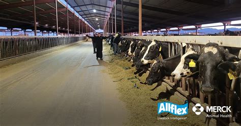 Allflex On Linkedin Help And Support Are A Vital Part Of An Allflex Monitoring System…