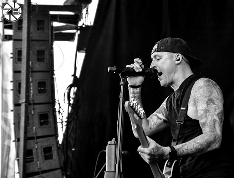 Dolly Parton And A Cat Reviler