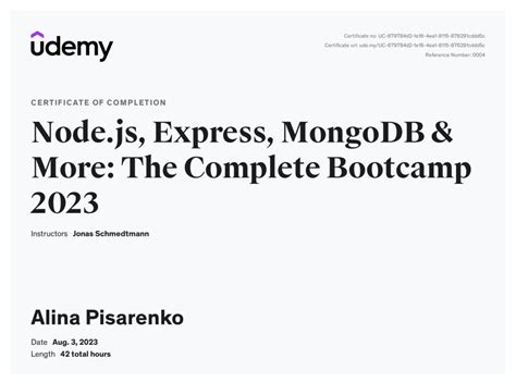 alina pisarenko on linkedin udemy course completion certificate