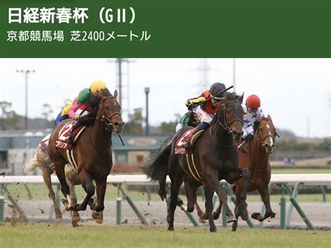 日経新春杯 京成杯 アカリンの競馬