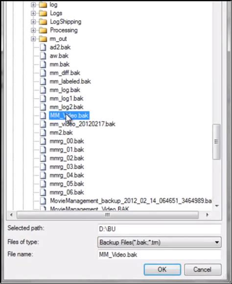 Cómo Restaurar Una Base De Datos En Sql Server Desde Un Archivo Bak