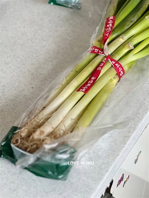 대파냉동보관 후 뿌리 파테크 집에서파키우기 네이버 블로그