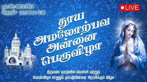 🔴live திருச்சி மறைமாவட்ட பாதுகாவலி தூய அமலோற்பவ அன்னை பெருவிழா திருப்பலி 08 12 2024 Kc