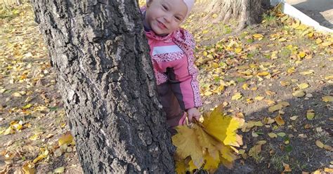 Пізнавально інтегрована діяльність