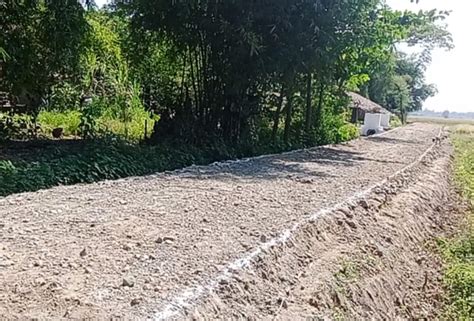 စိုက်ပျိုးရေး၊ မွေးမြူရေး၊၊ ပညာရေး၊ ကျန်းမာရေးနှင့် လူမှုရေးလုပ်ငန်းများအတွက် အဆင်ပြေစေမည့် ငှက