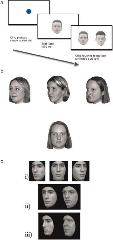 Examples Of Face Recognition Tasks From Session 1 A Sequential Face Download Scientific