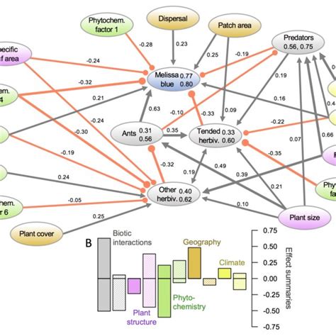 Structural Equation Model And Summary Of Direct And Indirect Effects Download Scientific
