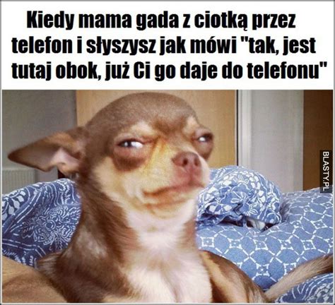 20 Memów Rozmowa Przez Telefon Najlepsze śmieszne Memy I