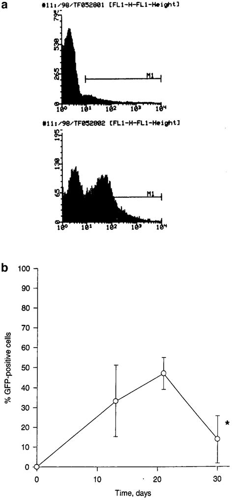 Fluorescence Activated Cell Sorting Facs Confirms Aavcmv Gfp