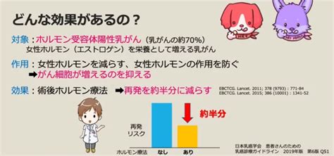 術後ホルモン療法ってどんな治療？【乳腺科医が解説】｜乳がん大事典｜一般社団法人bc Tube｜複数人の乳腺科医による制作・監修