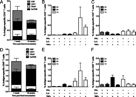 Characterization Of Cd4 ϩ And Cd8 ϩ T Cell Responses In Mice Download Scientific Diagram