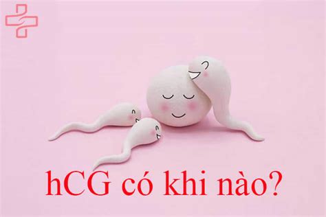 Beta Hcg L G Li N Quan G N Tu I Thai B Nh Vi N Nam Khoa H N I C S H Ng U C A B Y T